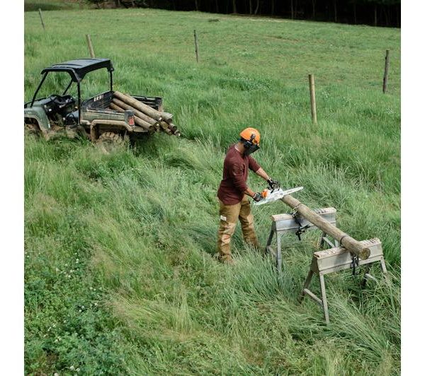 STIHL MS 151 C E Pleasant Valley Outdoor Power stihl-ms-151-c-e-pleasant-valley-outdoor-power