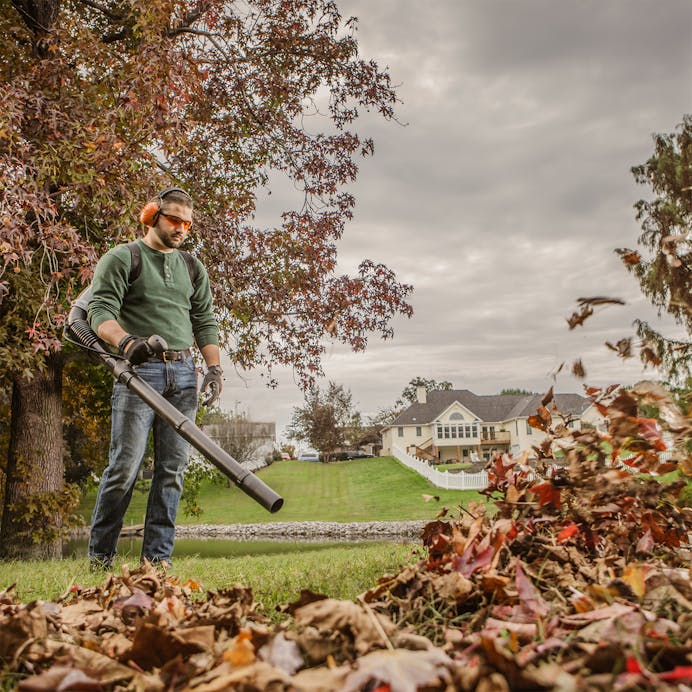 STIHL BR 350 - Pleasant Valley Outdoor Power